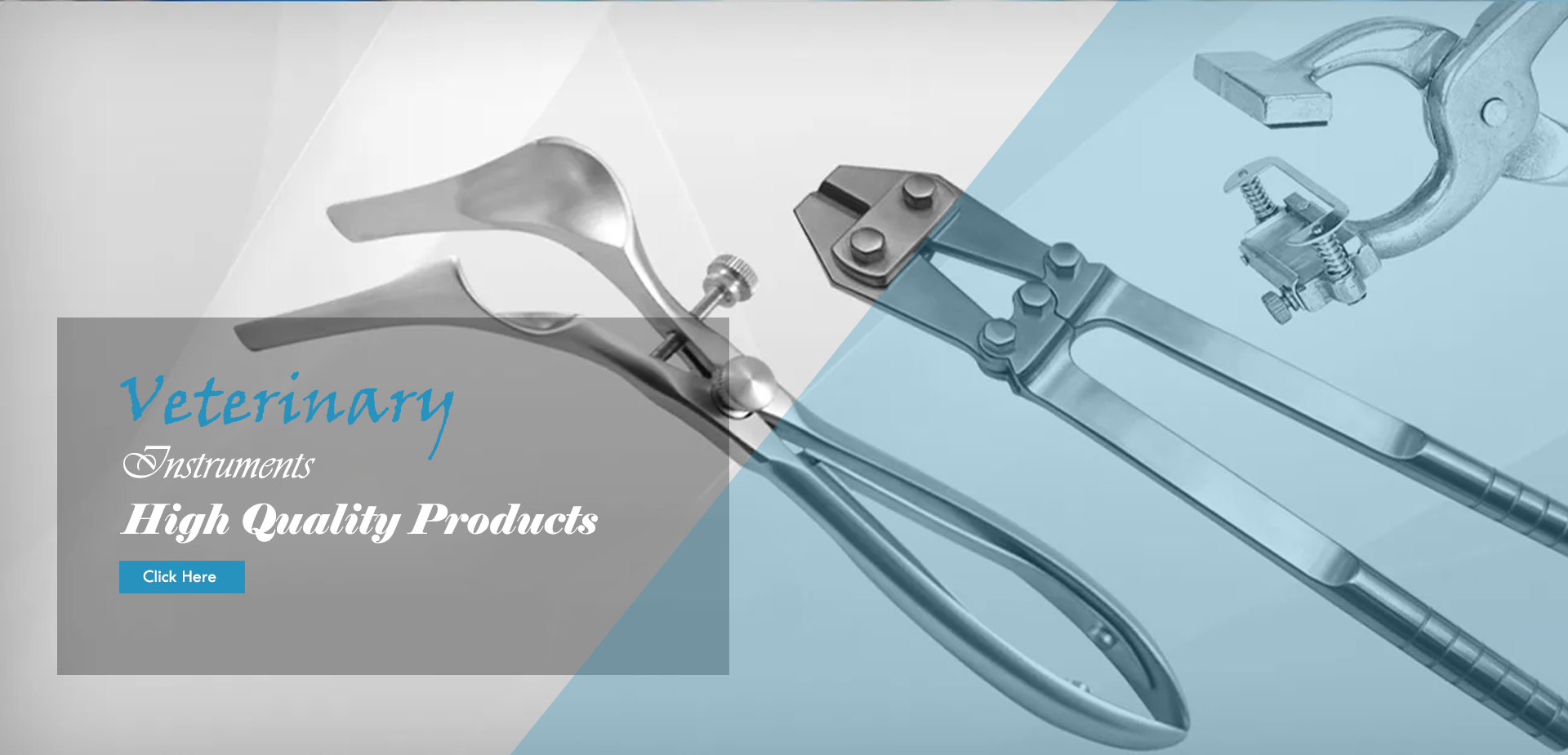 Setton Surgical